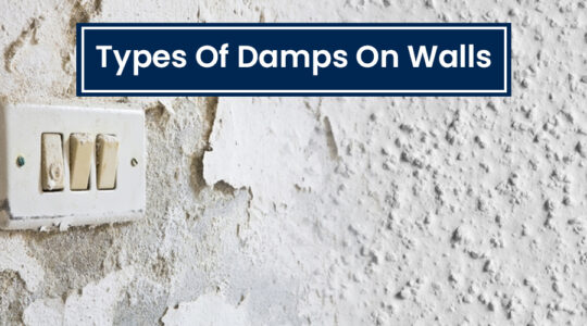 Types Of Damps On Walls | How To Prevent Them | Builders9
